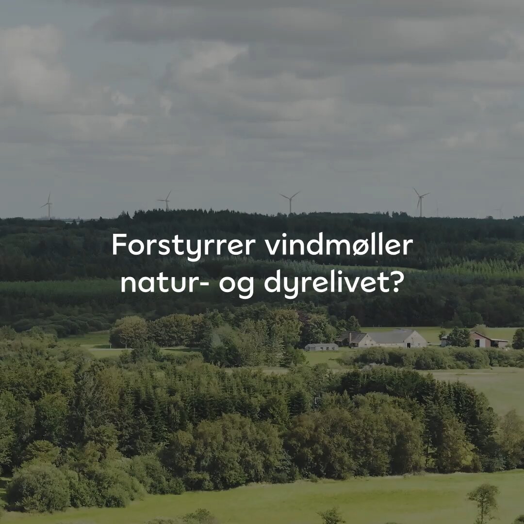 Windy retreats - Andel