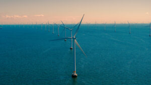 The group - Andel